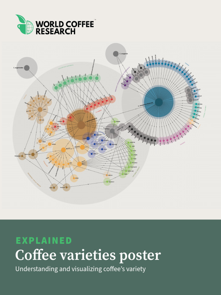 Poster Explainer | PDF