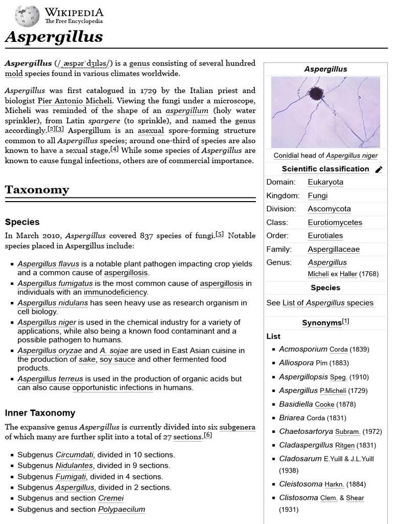 Aspergillus Cancer Fungus | PDF