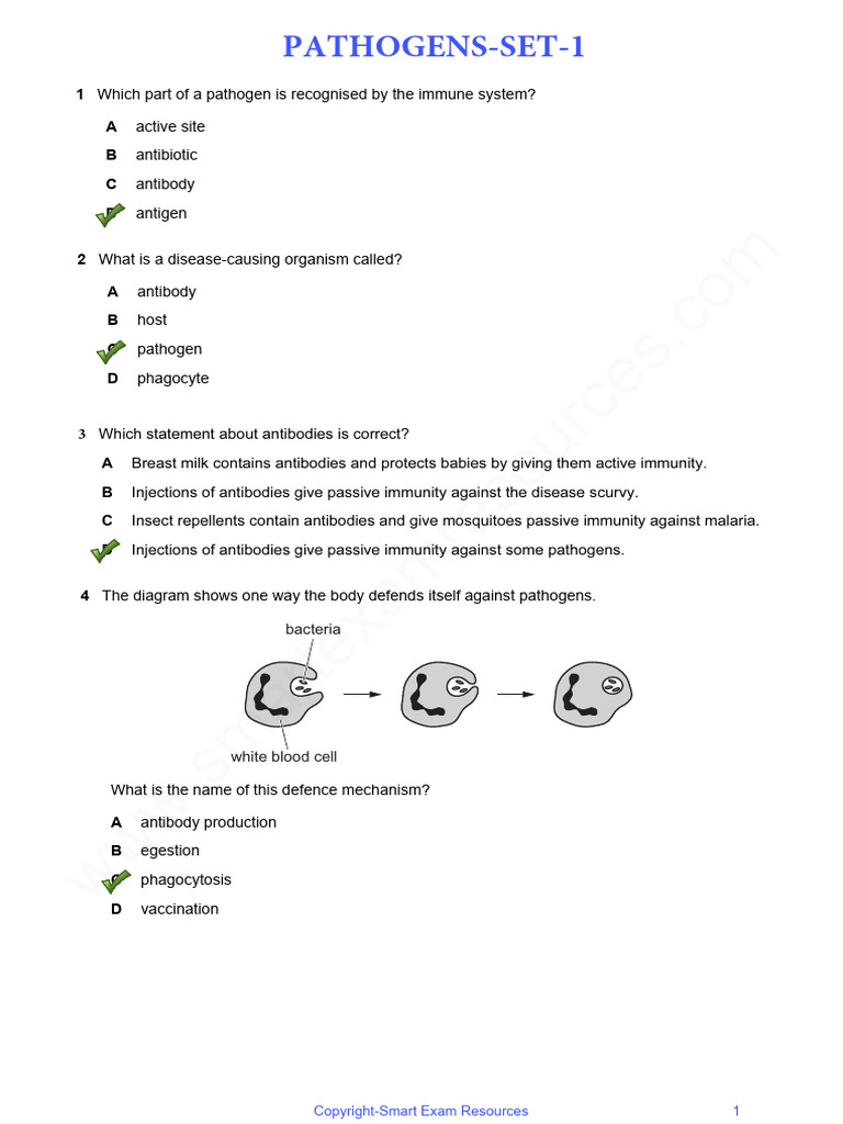 10.3 Pathogens Set 1 Ms | PDF | Immune System | Science & Mathematics