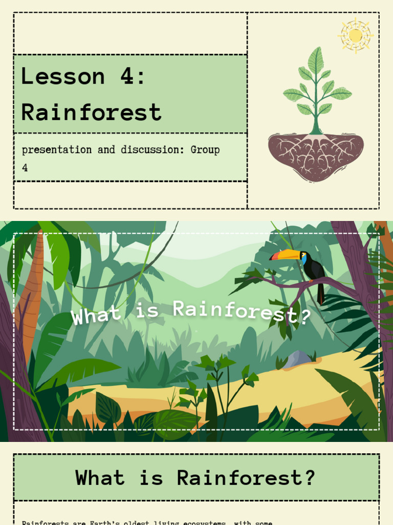 Lesson 8 & 9 Rainforest, Population & Human Ecology | PDF