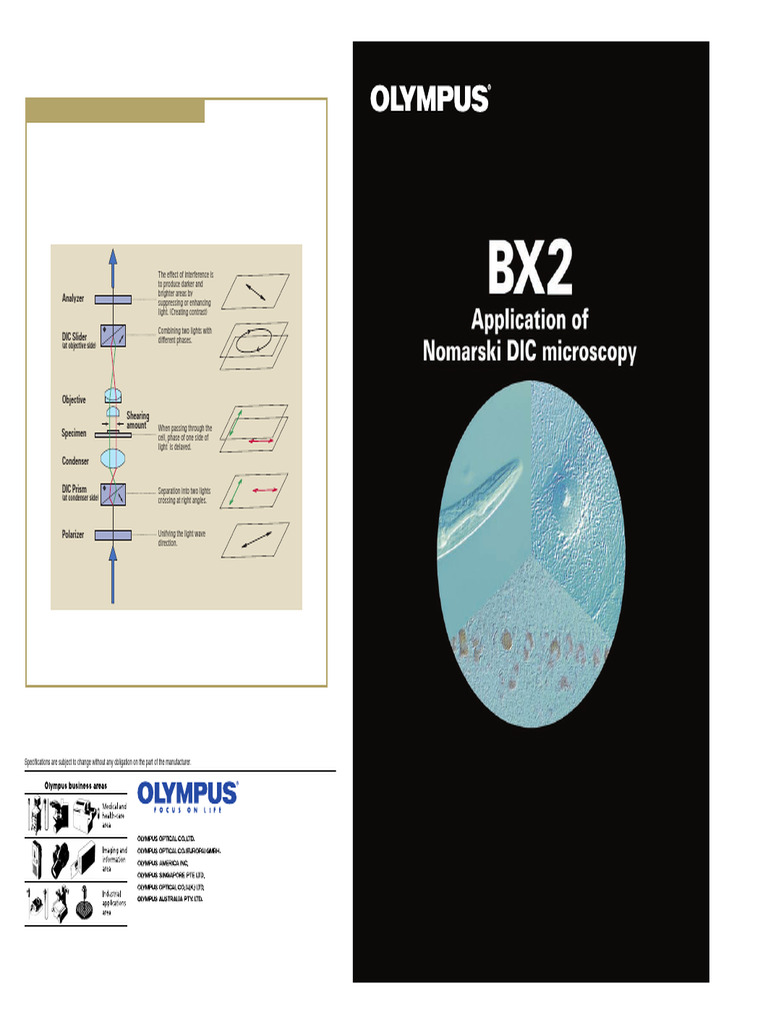 Olympus DIC | PDF