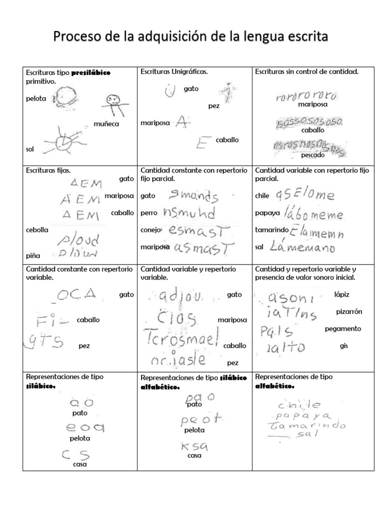 Proceso de La Adquisicion de La Lengua Escrita | PDF