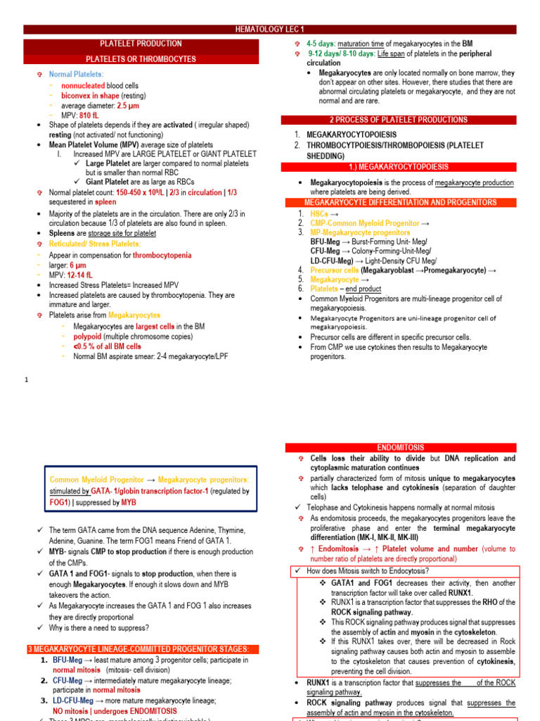 Hematology Lec 1 | PDF | Cell Biology | Blood Hematology Lec 1 | PDF | Cell Biology | Blood