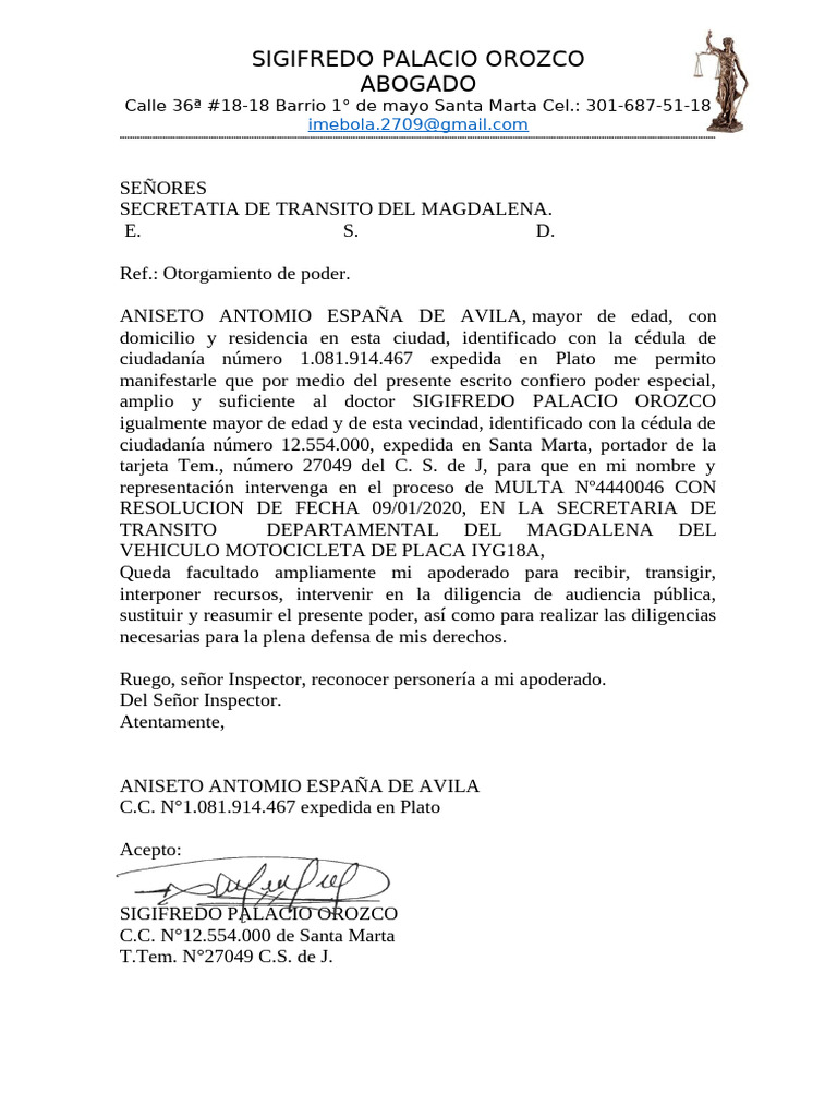 Modelo de Poder para Proceso Por Contravención de Tránsito | PDF