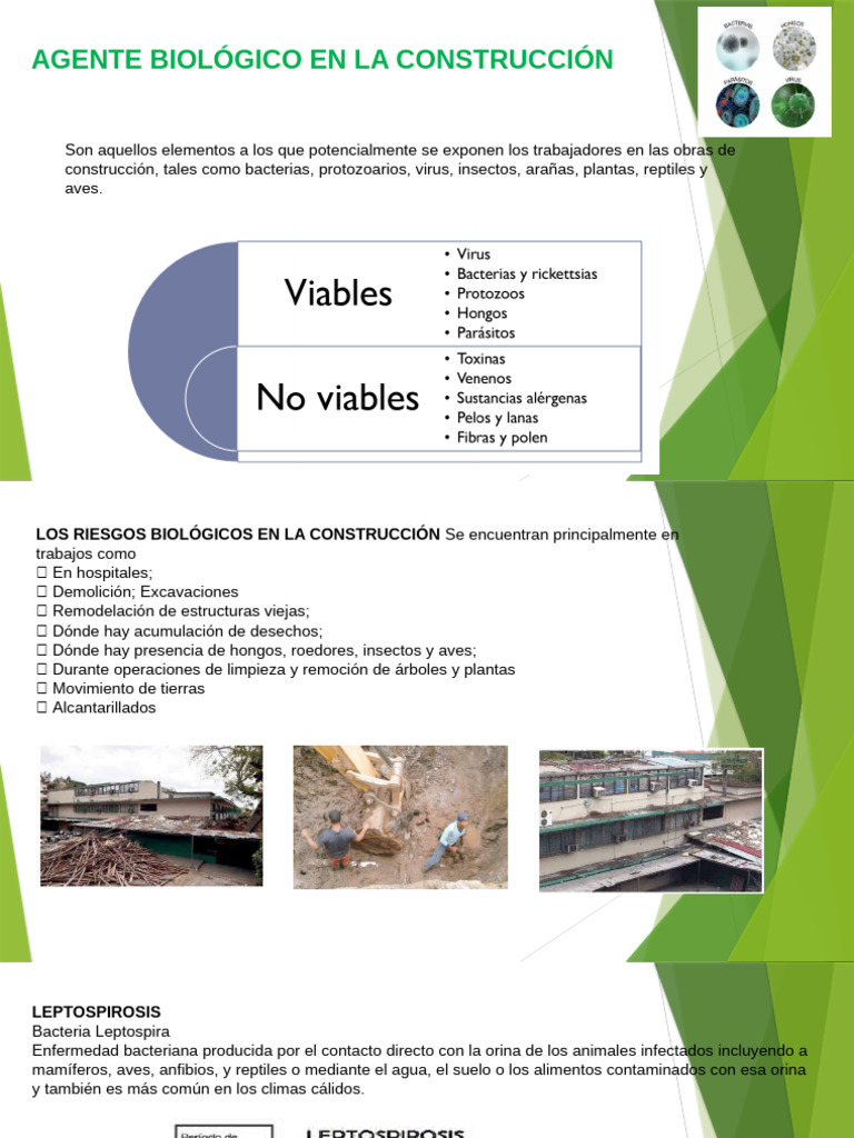 Agentes Biologicos | PDF