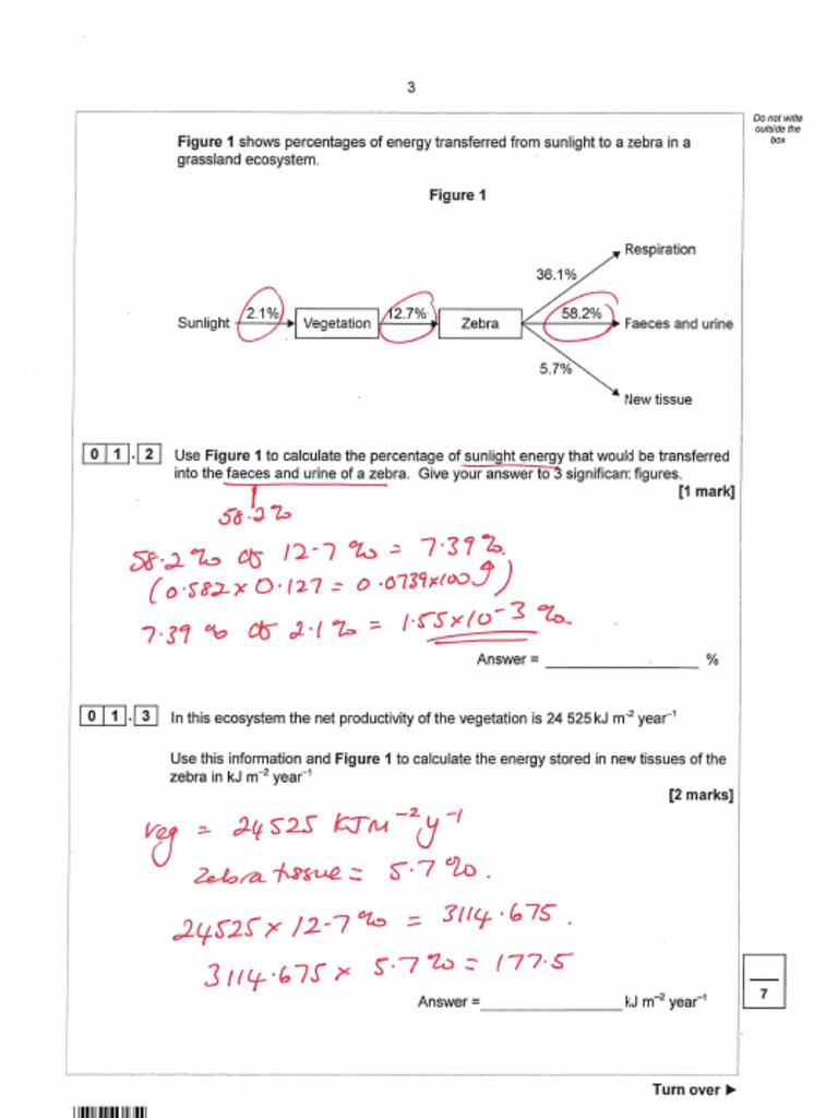 Paper 2 2019 Maths | PDF