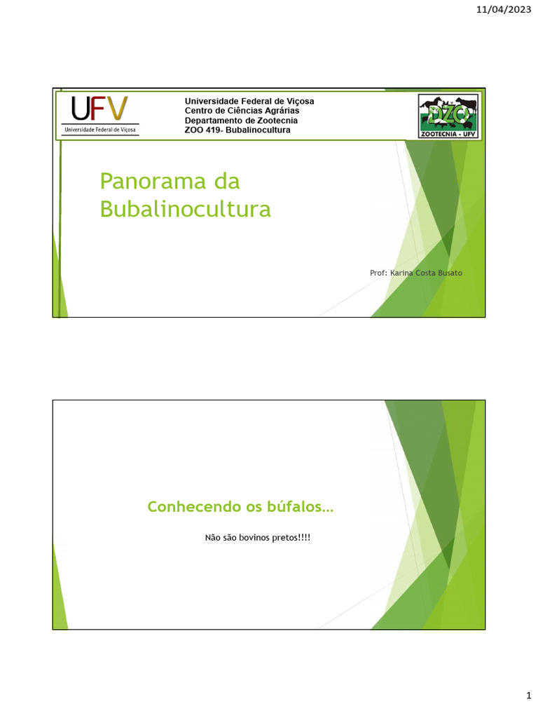 Slides Aula Introdutoria | PDF