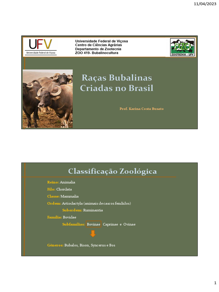 Slides Aula Racas | PDF