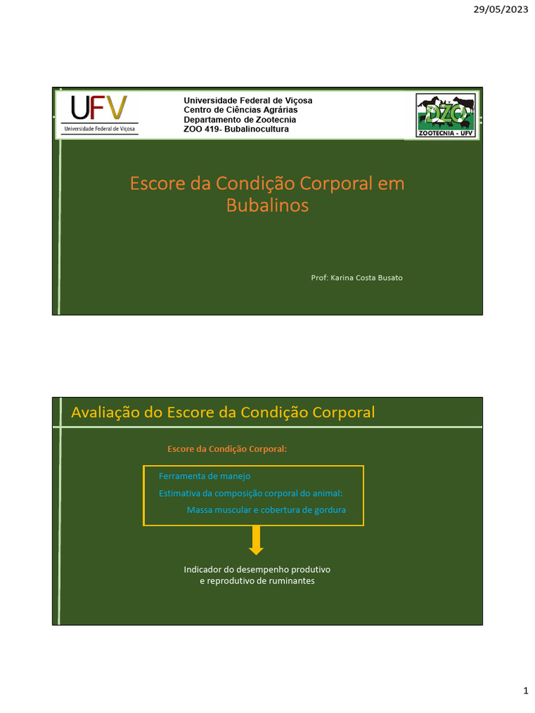 Slides ECC 2023 | PDF