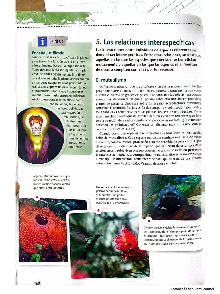 Relaciones Interespecificas | PDF