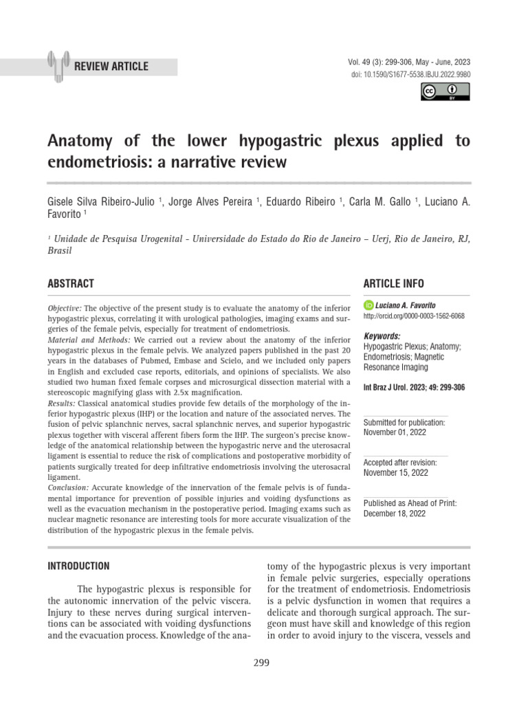 Anatomy of The Lower Hypogastric Plexus Applied To | PDF