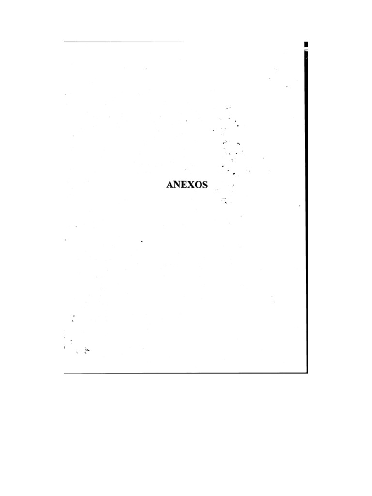Anexo | PDF