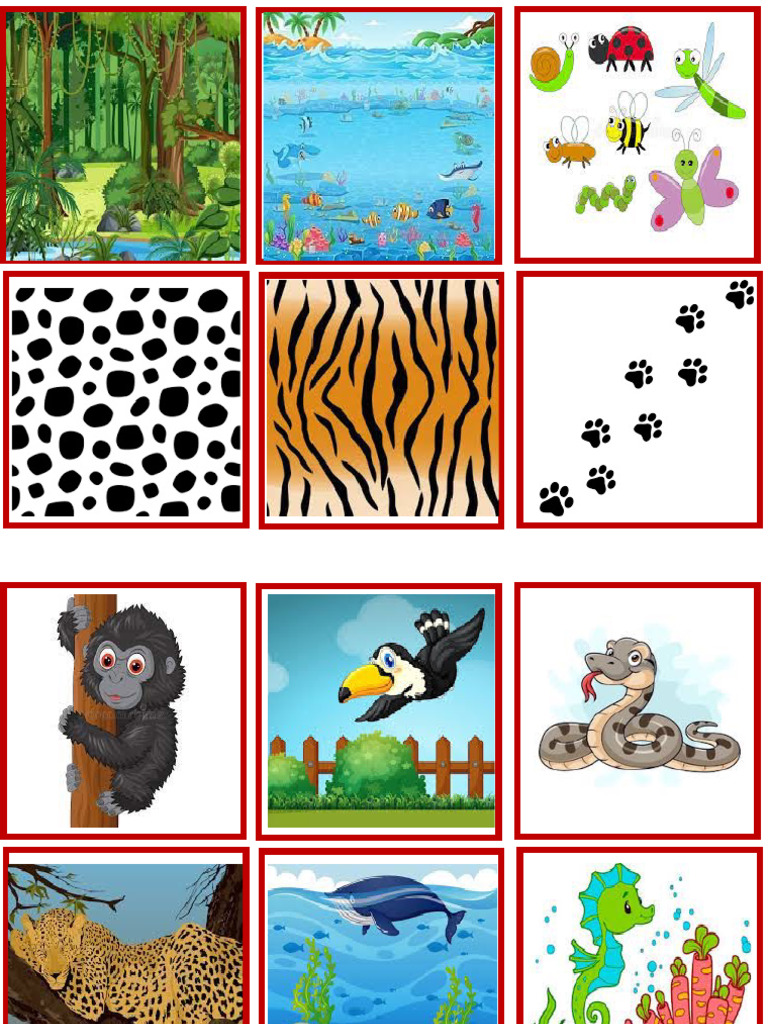 JUNE Flashcards | PDF