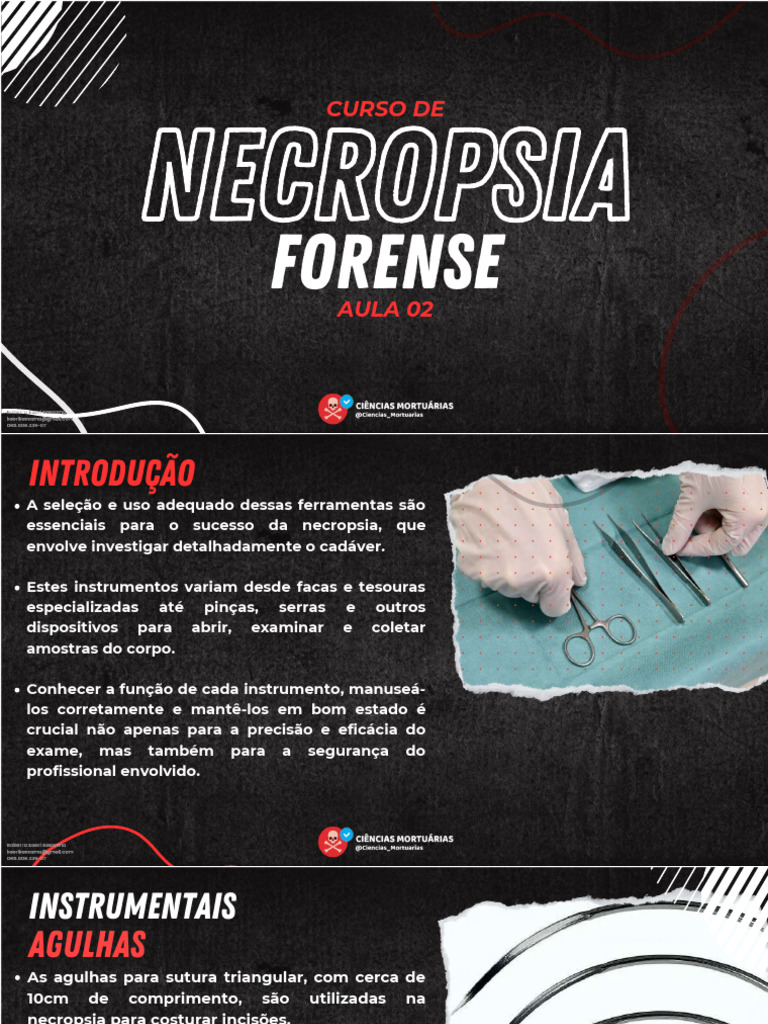 Material de Resumo - Aula 6 | PDF