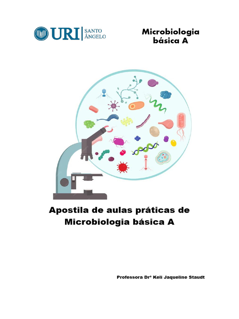 Apostila de Aulas Práticas de Micro Básica | PDF