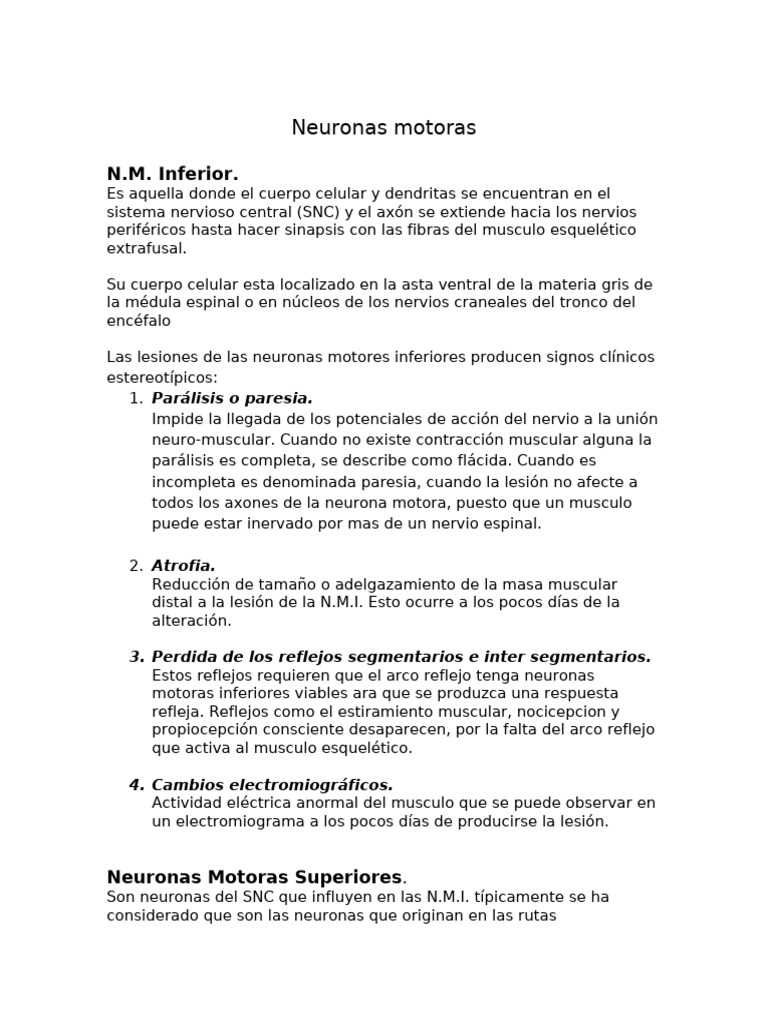 Neuronas Motoras | PDF