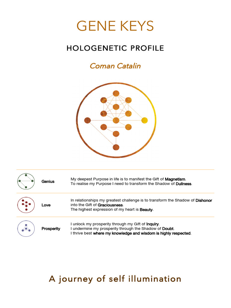 Coman Catalin - Profile | PDF