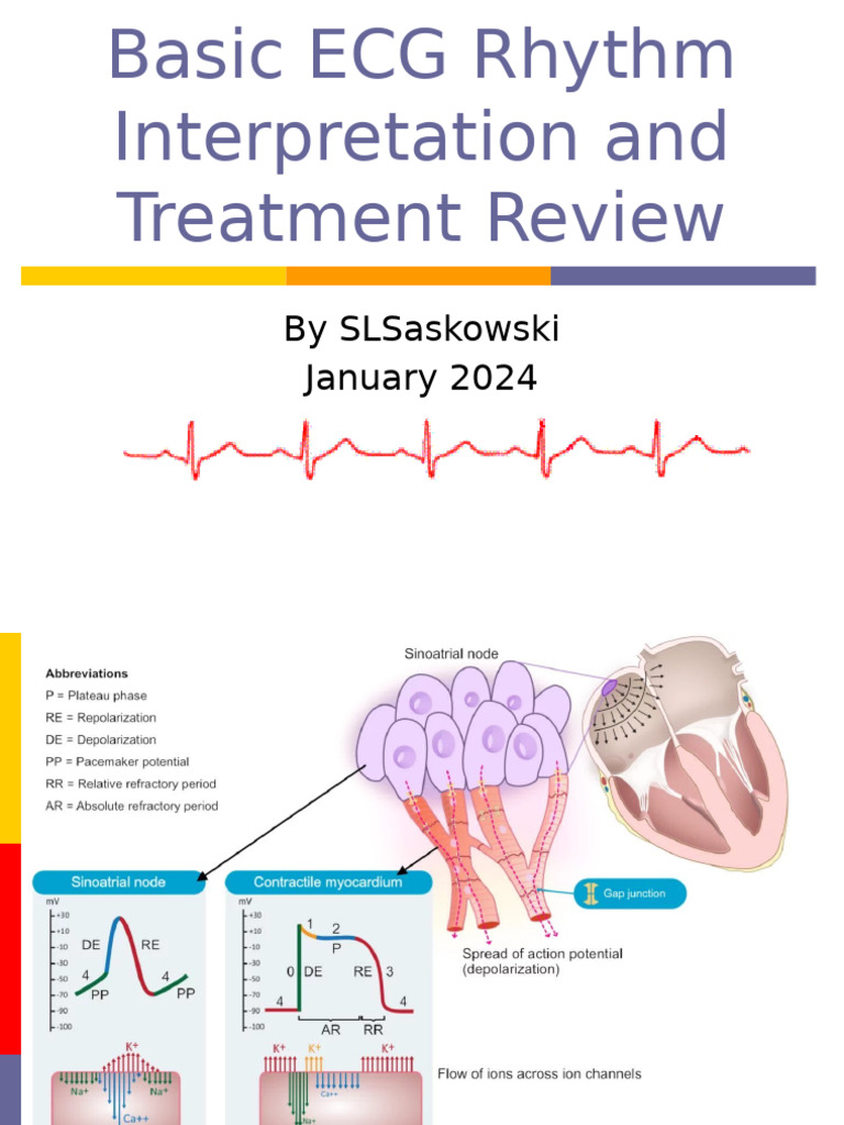 Basic Ecg Review Jan 2024 - SLS | PDF