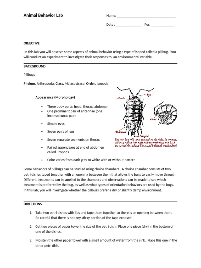 Animal Behavior LabShortened | PDF | Insects | Wellness