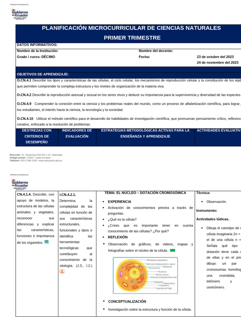 10mo - CCNN - 1er - Trimestre | PDF