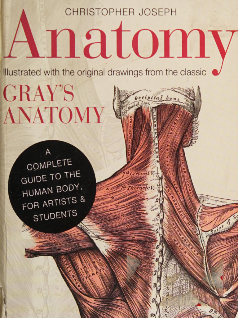 Anatomy - A Complete Guide To The Human Body, For Artists & Students | PDF