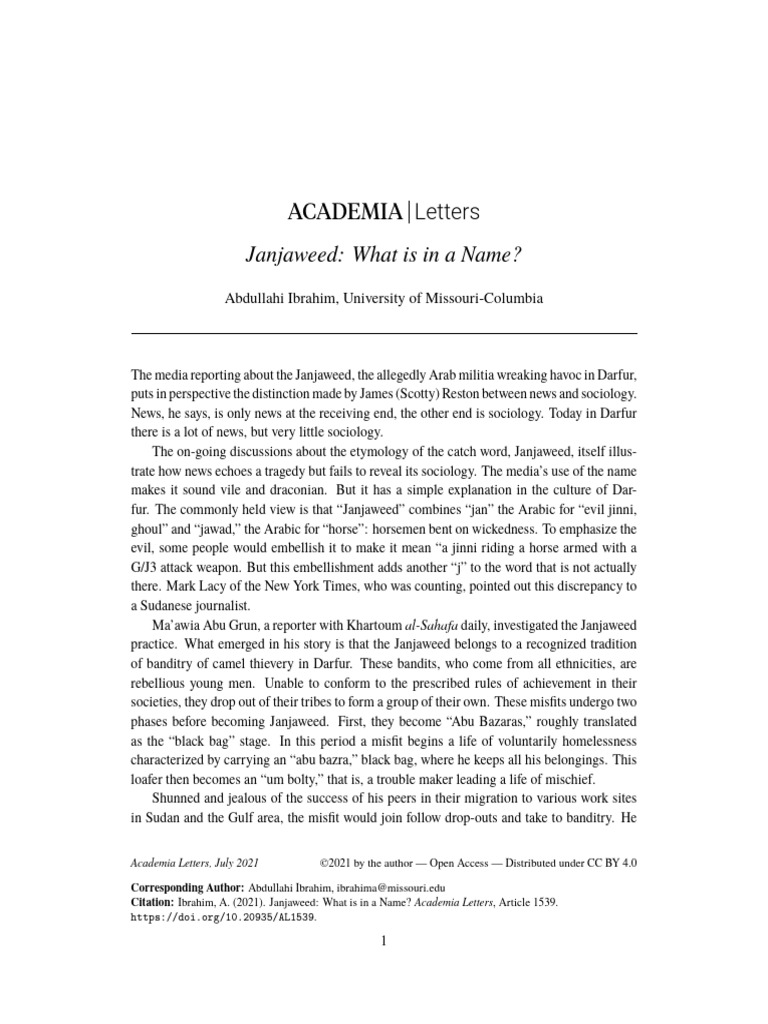 Janjaweed What Is in A Name | PDF