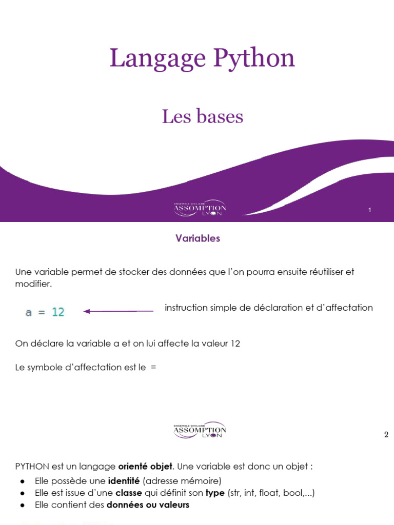 Langage Python - Bases | PDF