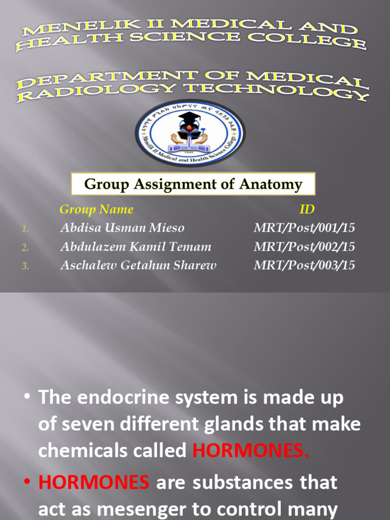 Anatomy Assignment (Endocrine) | PDF