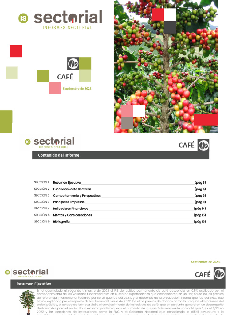 Informe Sectorial Café - Sep 2023 | PDF