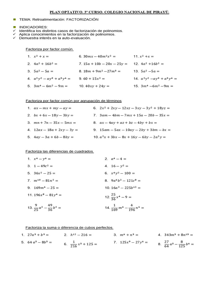 Plan Opt Factorización(1) | PDF