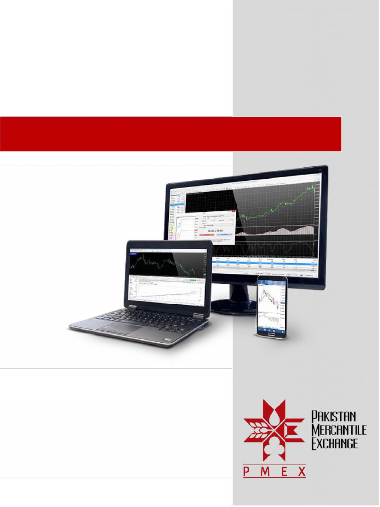 MT5 Steps Updated | PDF