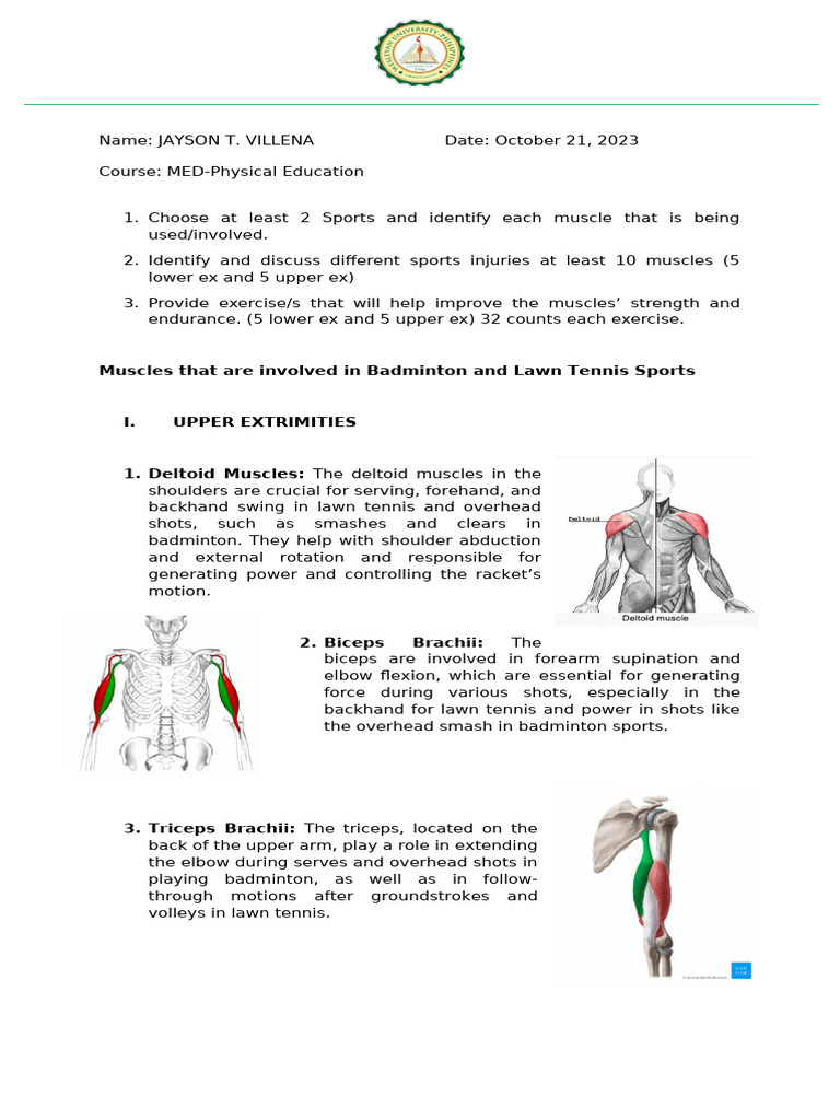 Individual Activity 2 (Muscles) | PDF | Anatomical Terms Of Motion ...