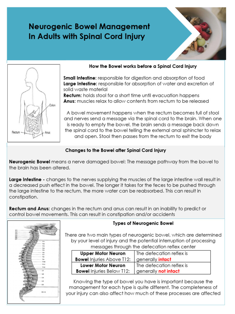 Bowel Education Handout | PDF | Constipation | Wellness