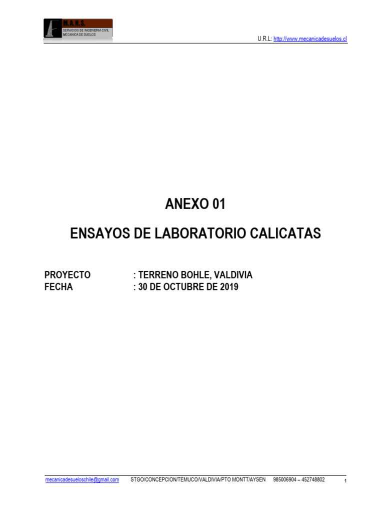 1939-MDS-IT-002 (Anexo 1) Rev. 0 | PDF