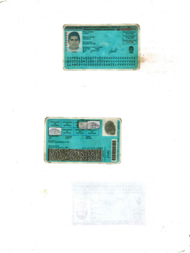 Dni - Llanos Palomino Eduardo Daniel | PDF