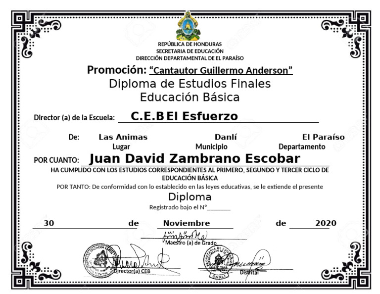 Otro Diploma Noveno Grado | PDF