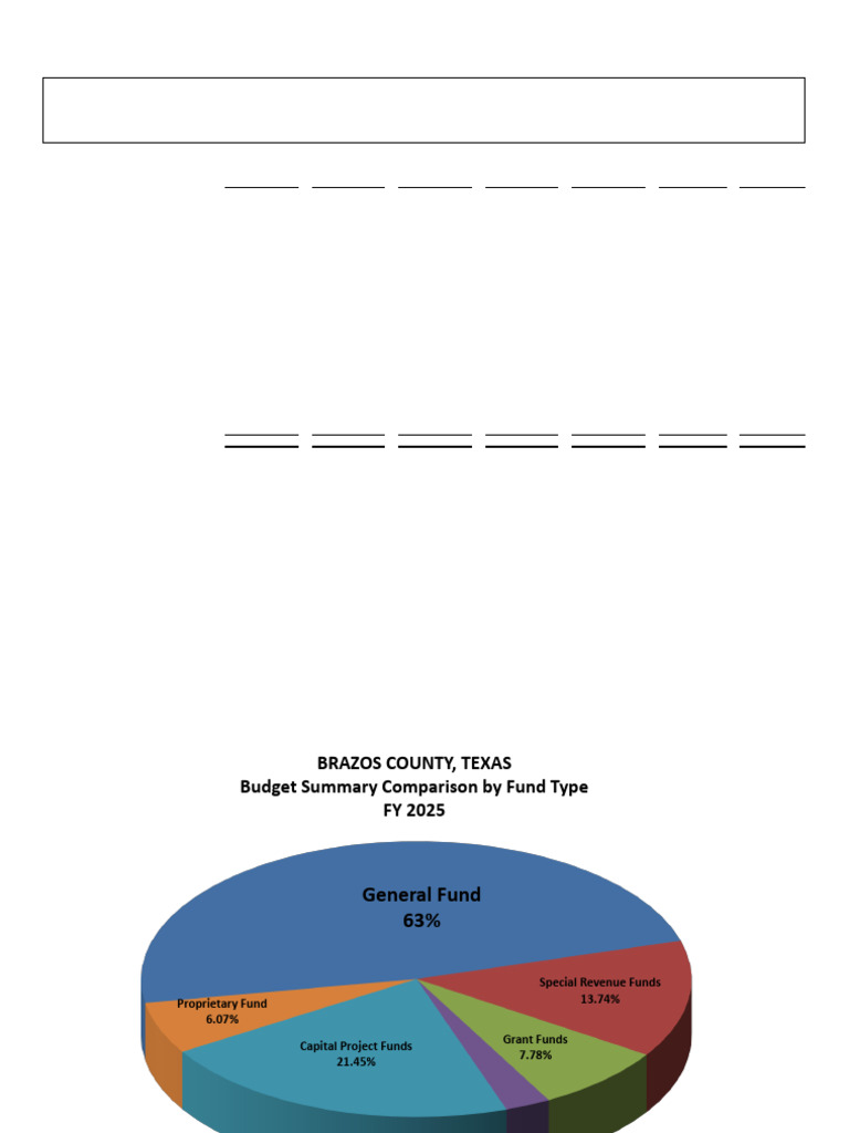Adopted Budget Summary Comparison by Fund Type | PDF | Debt | Business