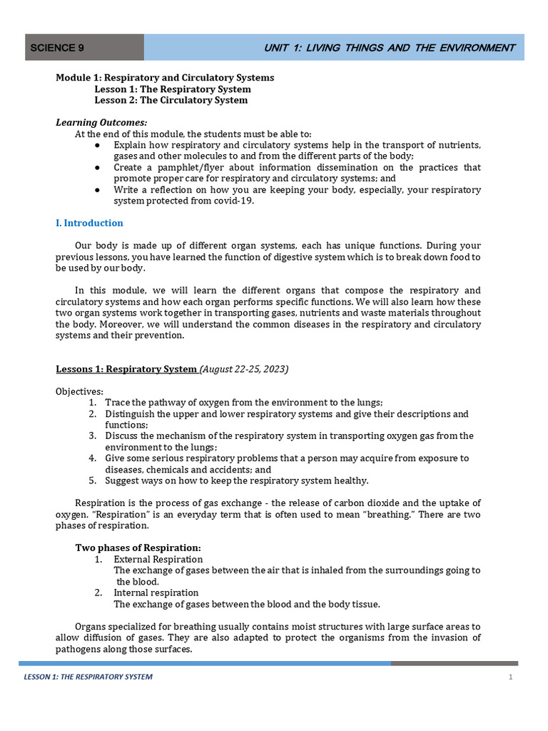 Module 1 Lesson 1 Respiratory System | PDF