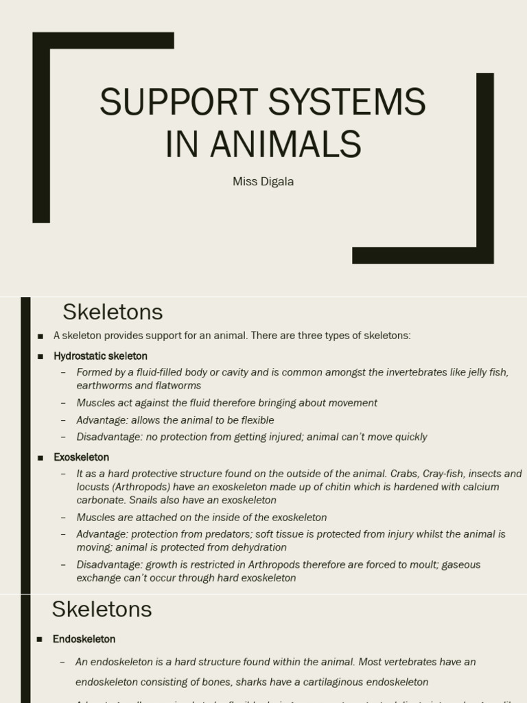Support Systems in Animals | PDF