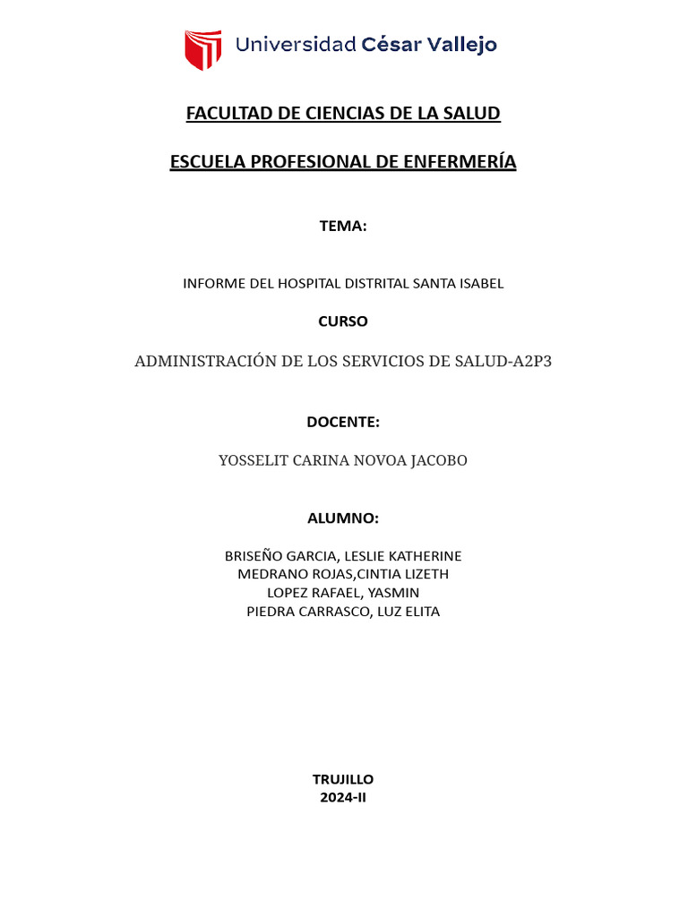 Informe Del Hdsi | PDF