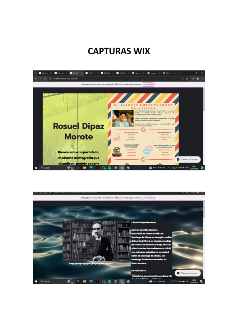 Capturas Wix | PDF