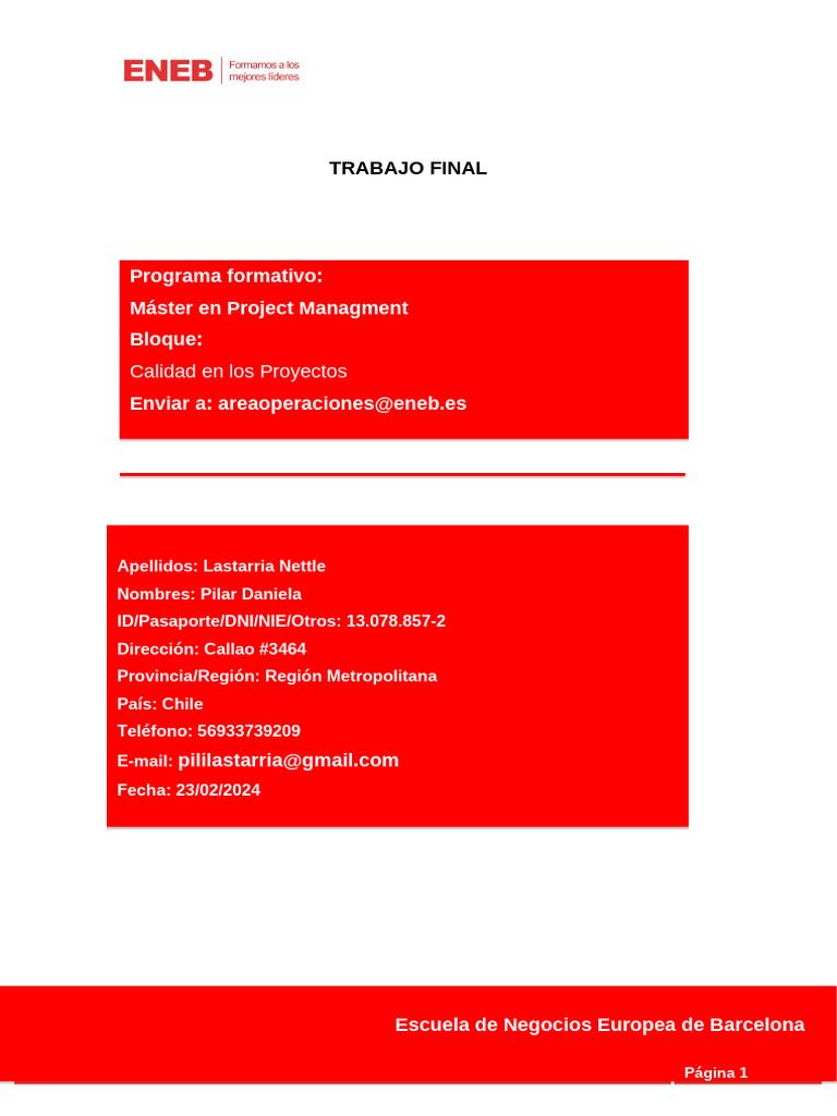 Calidad en Los Proyectos Casi Final 2 | PDF