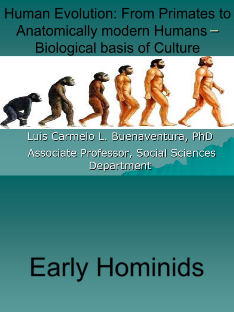 Human Evolution Part 2 (Dr. Buenaventura 2016) | PDF