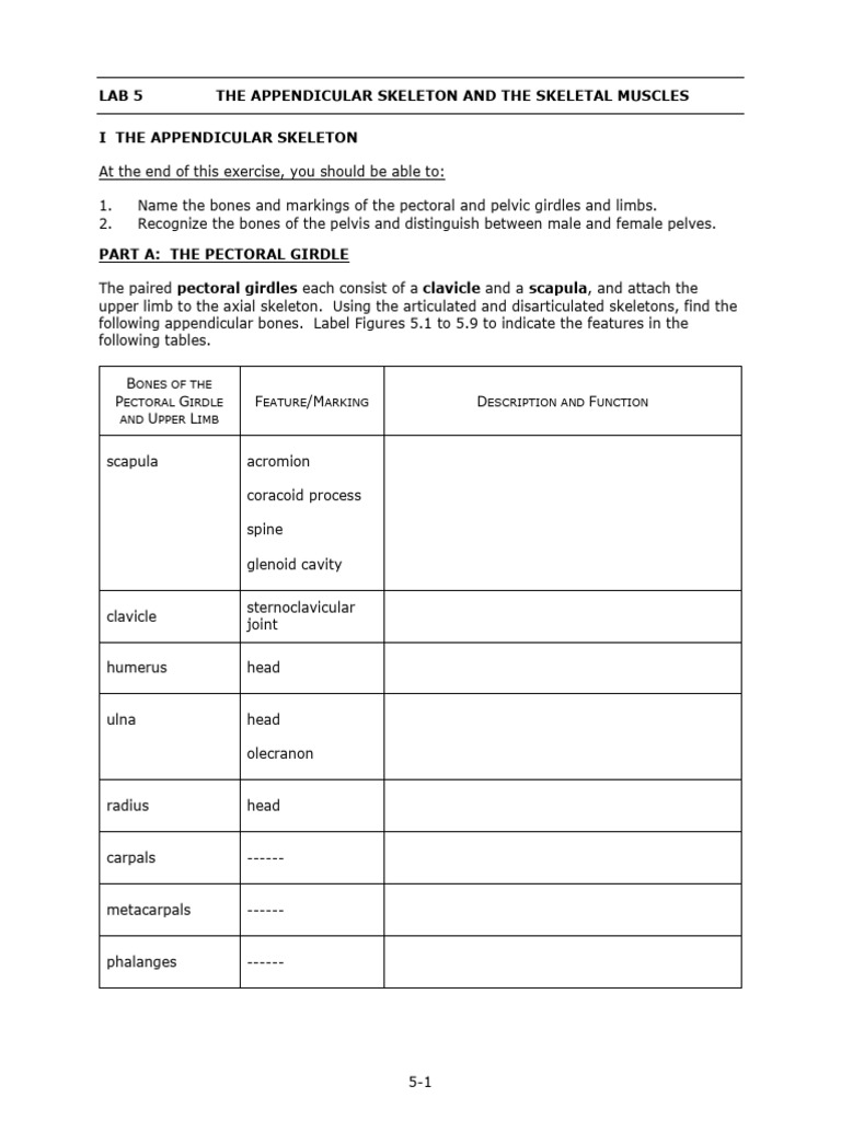 LAB 5 APPENDICULAR SKELETON AND MUSCLES 2023 3 | PDF