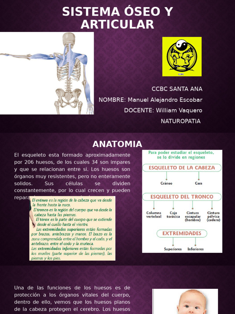Sistema Óseo y Articular | PDF