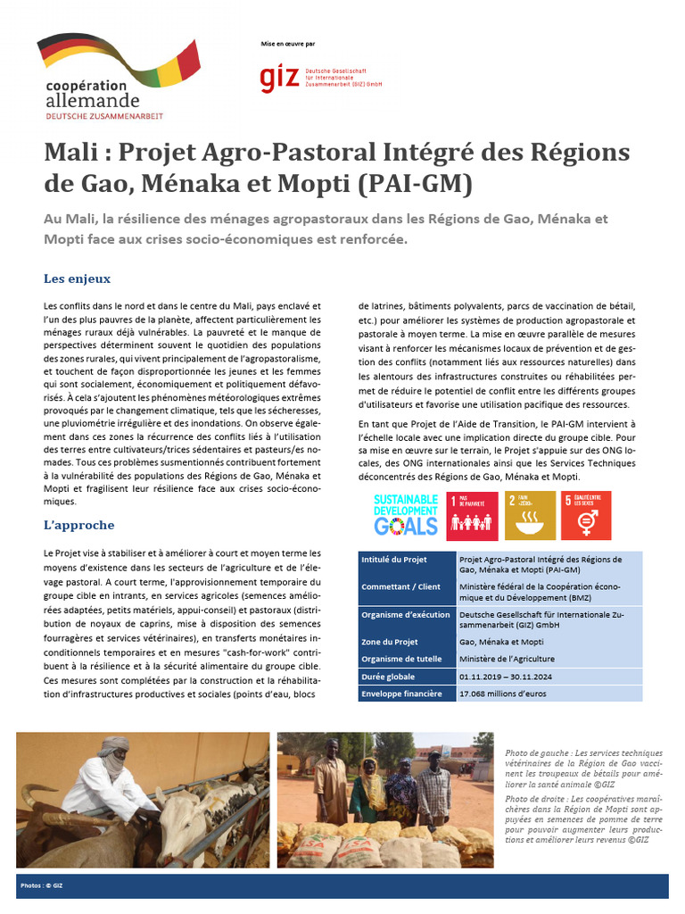 Projet Agro-Pastoral Intégré Des Régions de Gao | PDF