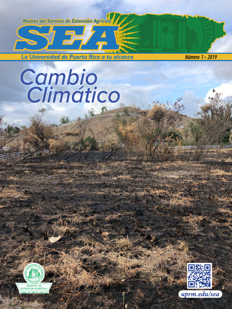 Impacto del Cambio Climático en Puerto Rico | PDF | Gases de efecto ...