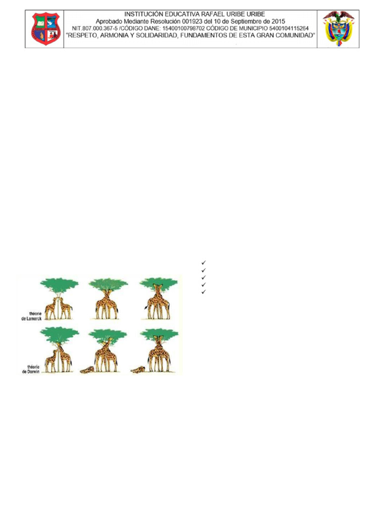 Evolución y Selección Natural: Guía Educativa | PDF | Evolución ...