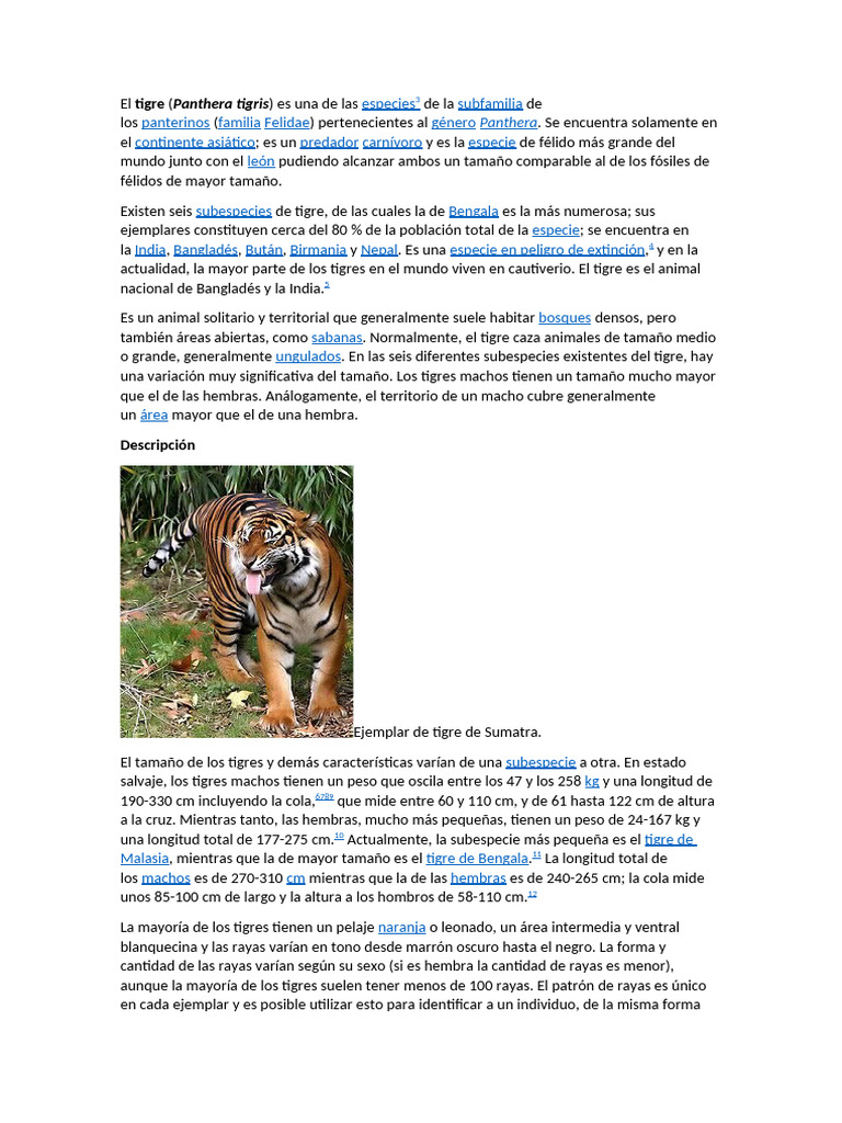 Tigre | PDF