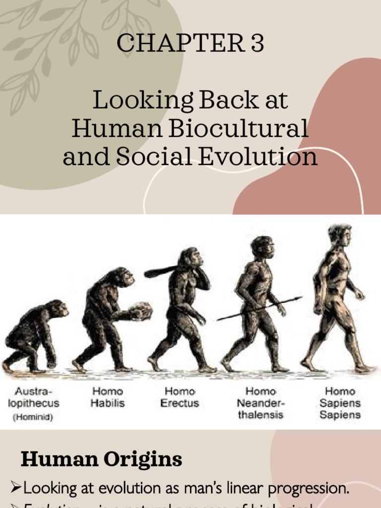 Chapter 3 Ucsp | PDF